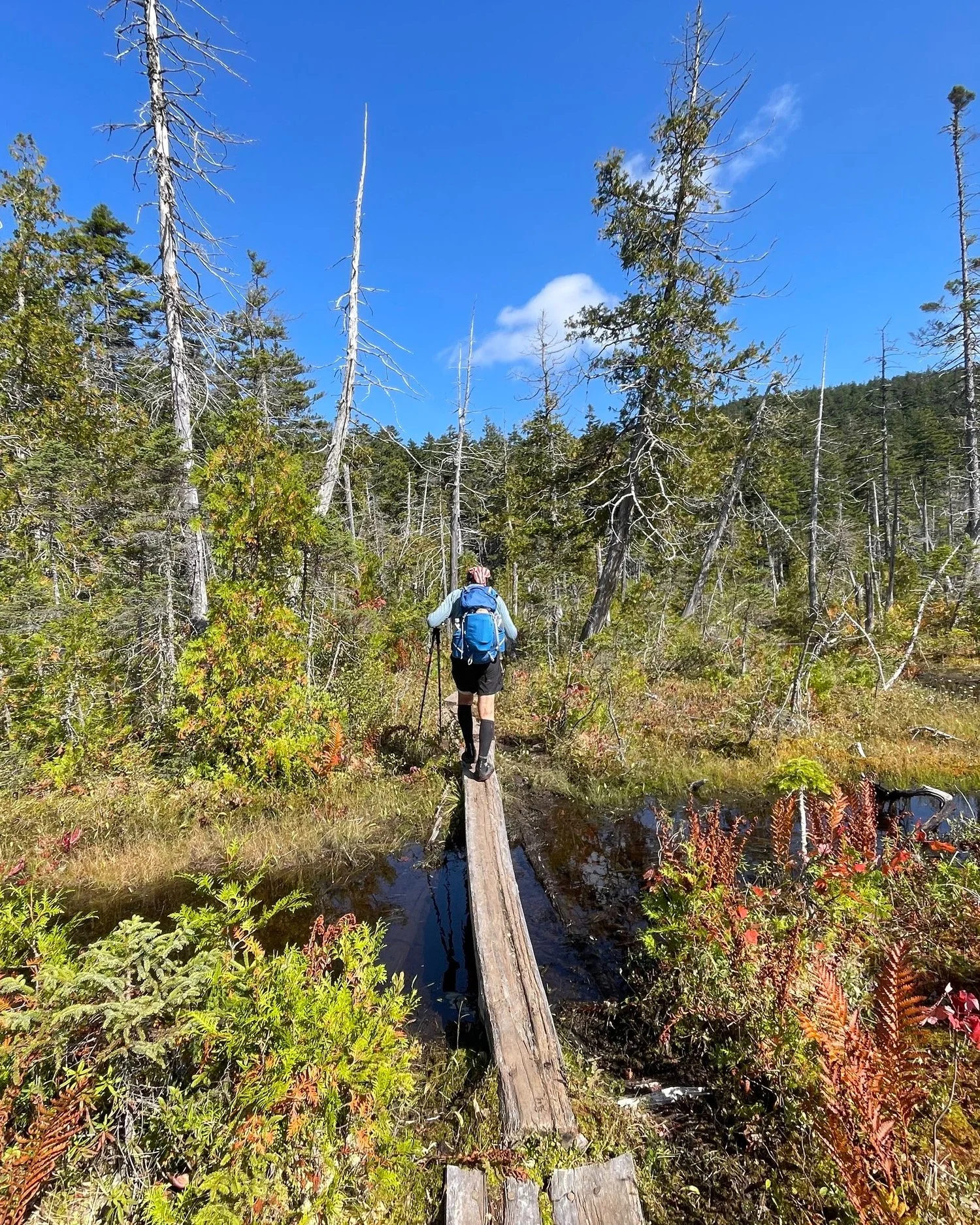 100 Mile Wilderness & Slack-packing — Katahdin Adventure Co.