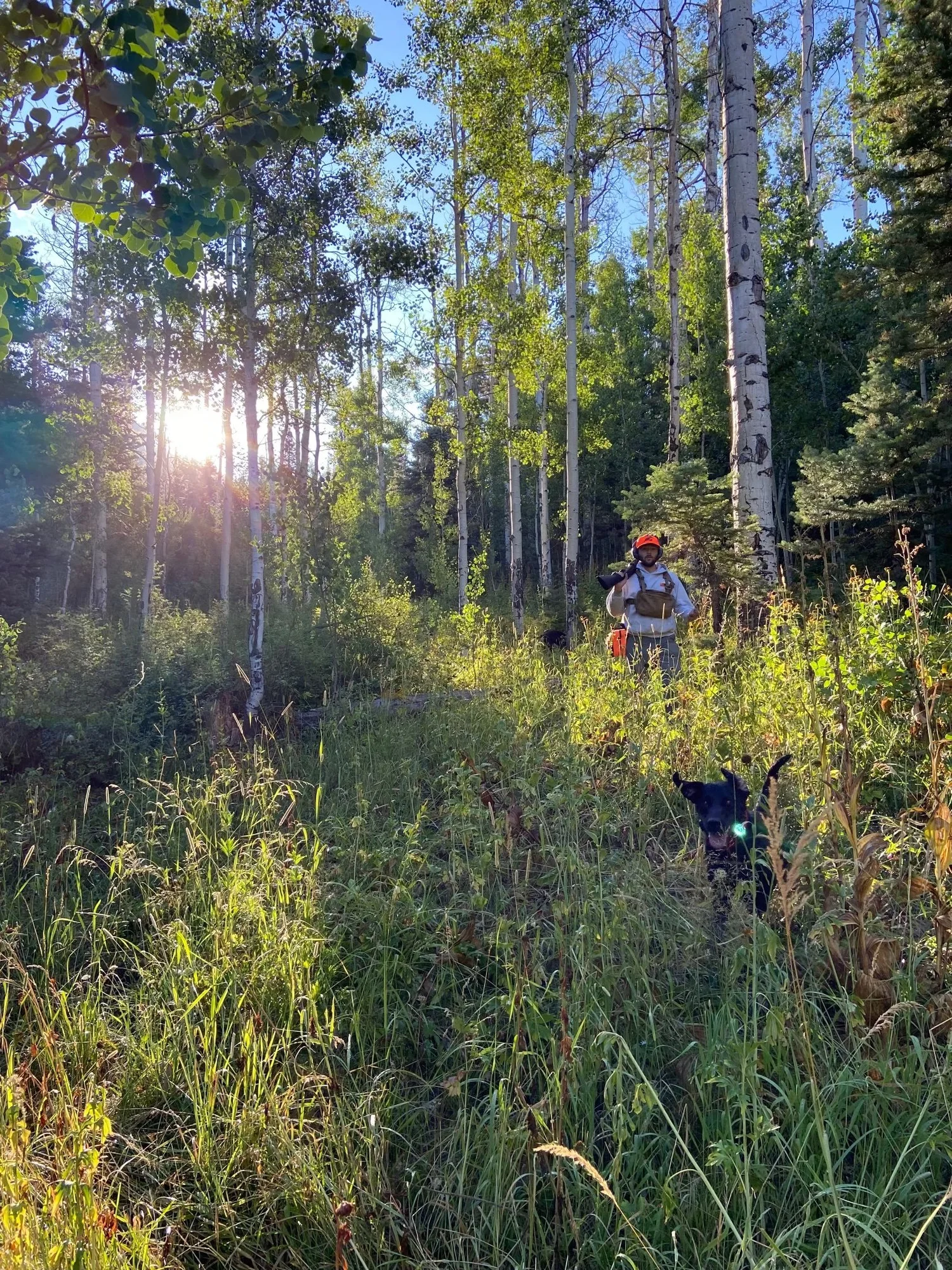 ABOUT US — Hunt Quietly