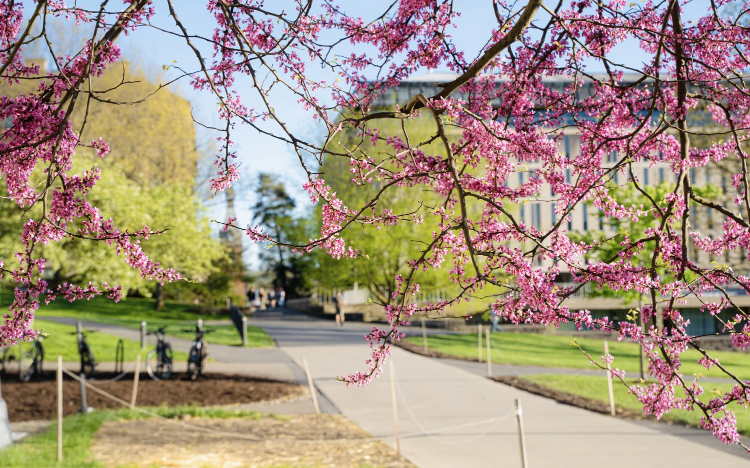 People — Xiaomeng Liu lab