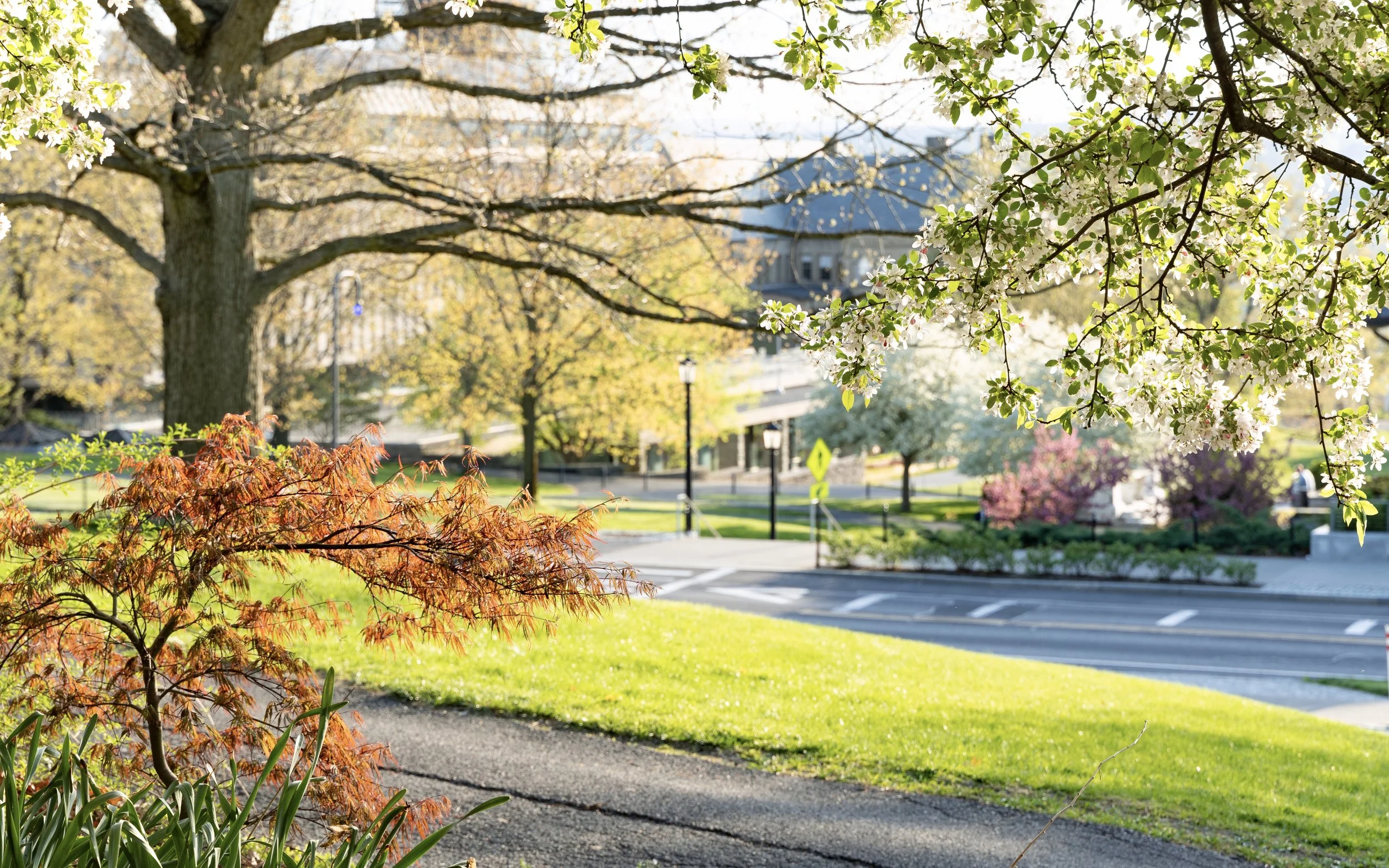 Gallery — Xiaomeng Liu lab