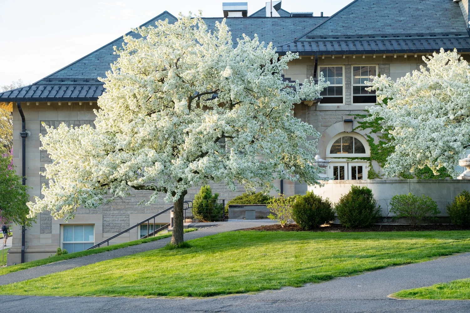 Gallery — Xiaomeng Liu lab