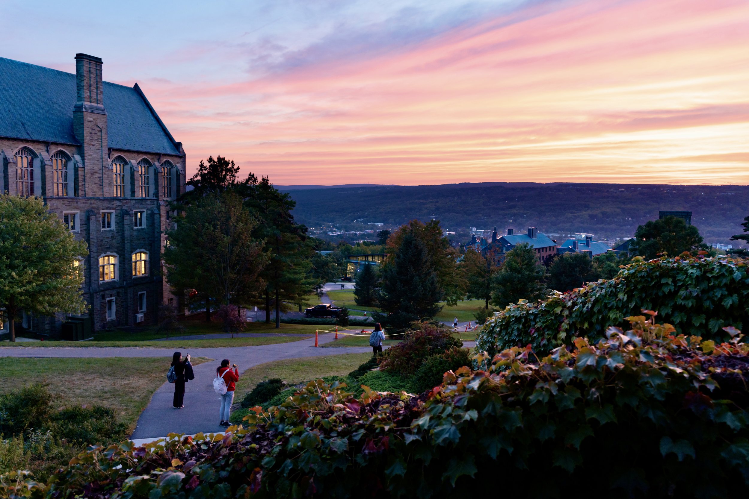 Gallery — Xiaomeng Liu lab