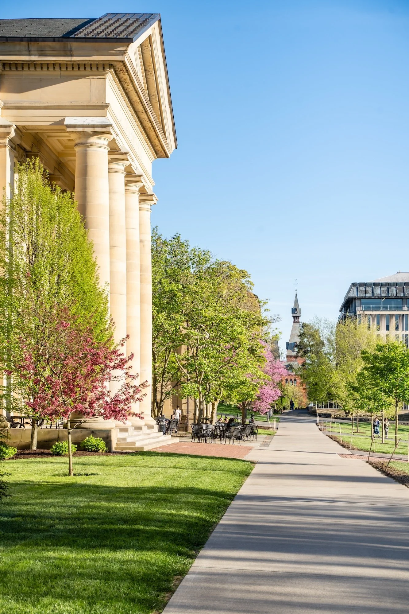 Gallery — Xiaomeng Liu lab