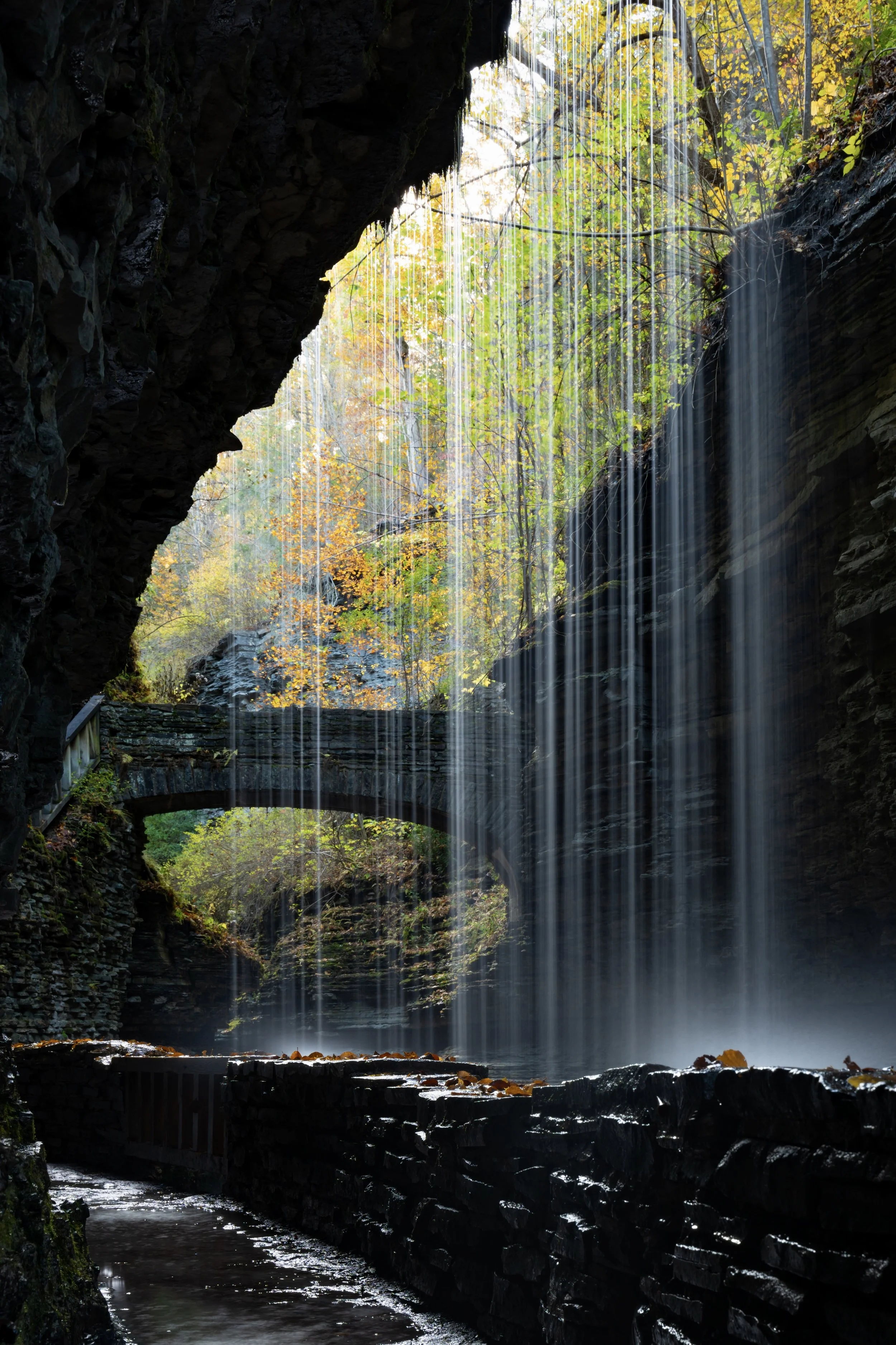 Gallery — Xiaomeng Liu lab