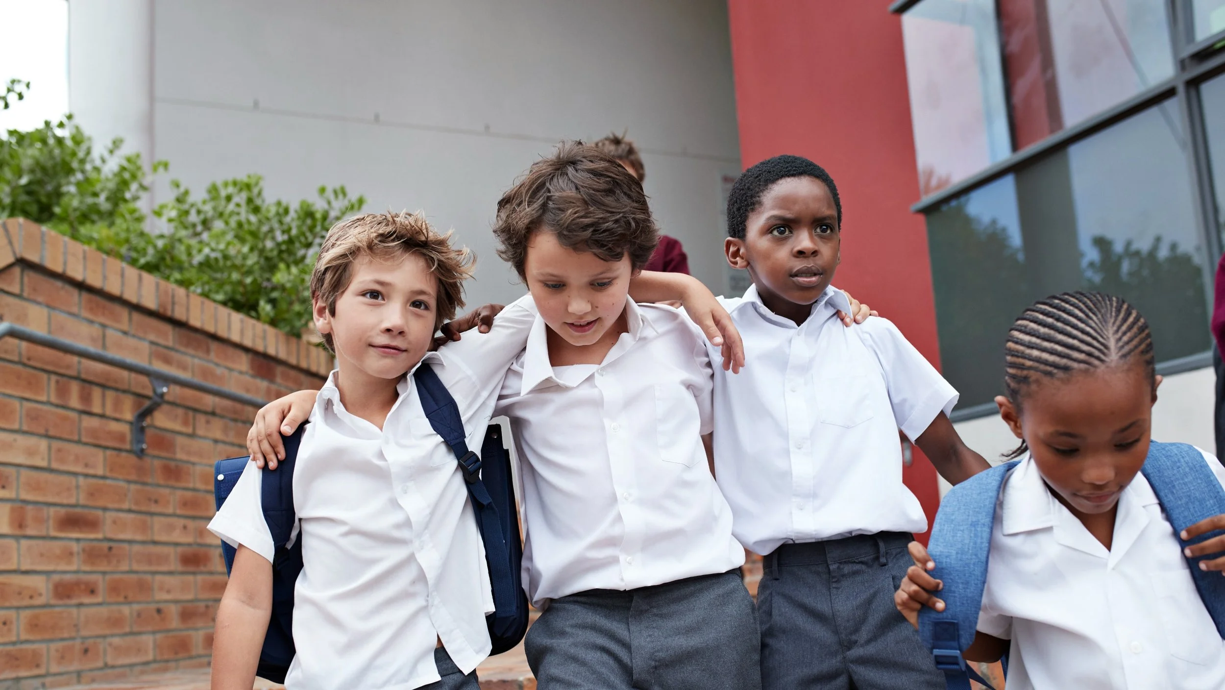 Facts Sheets — APA Division 51