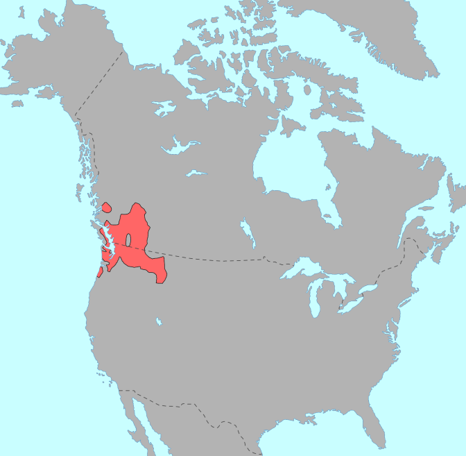 Salish Language — Salish School of Spokane