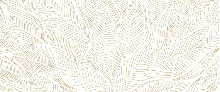 Diamond Touch Landscape and Construction