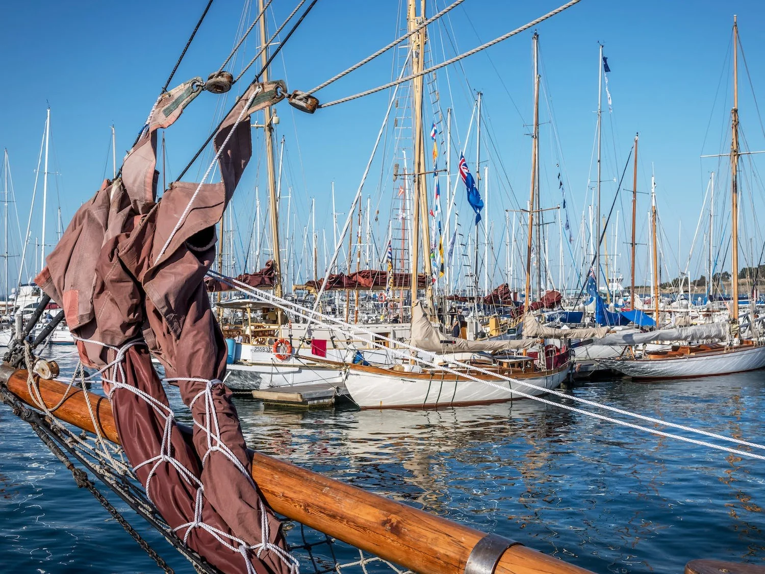 Food Trucks — VICTORIAN WOODEN BOAT FESTIVAL