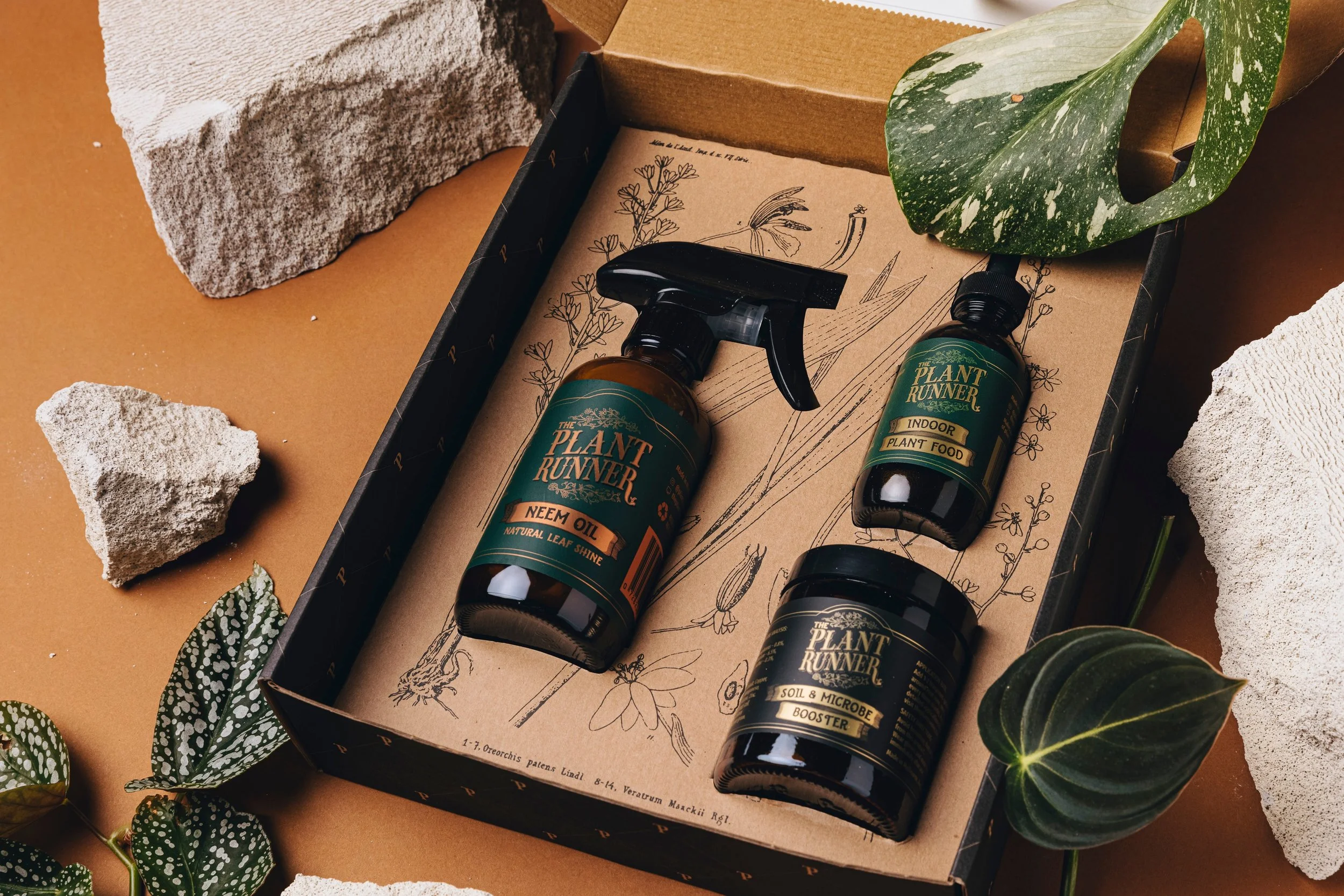 The Bondi Plant Company
