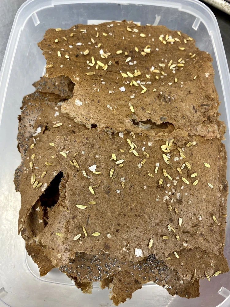 Sourdough Discard Crackers — NO MISE EN PLASTIC