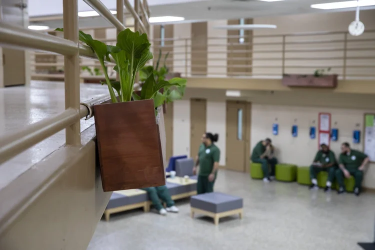 MEDIA + RESOURCES — Scandinavian Prison Project