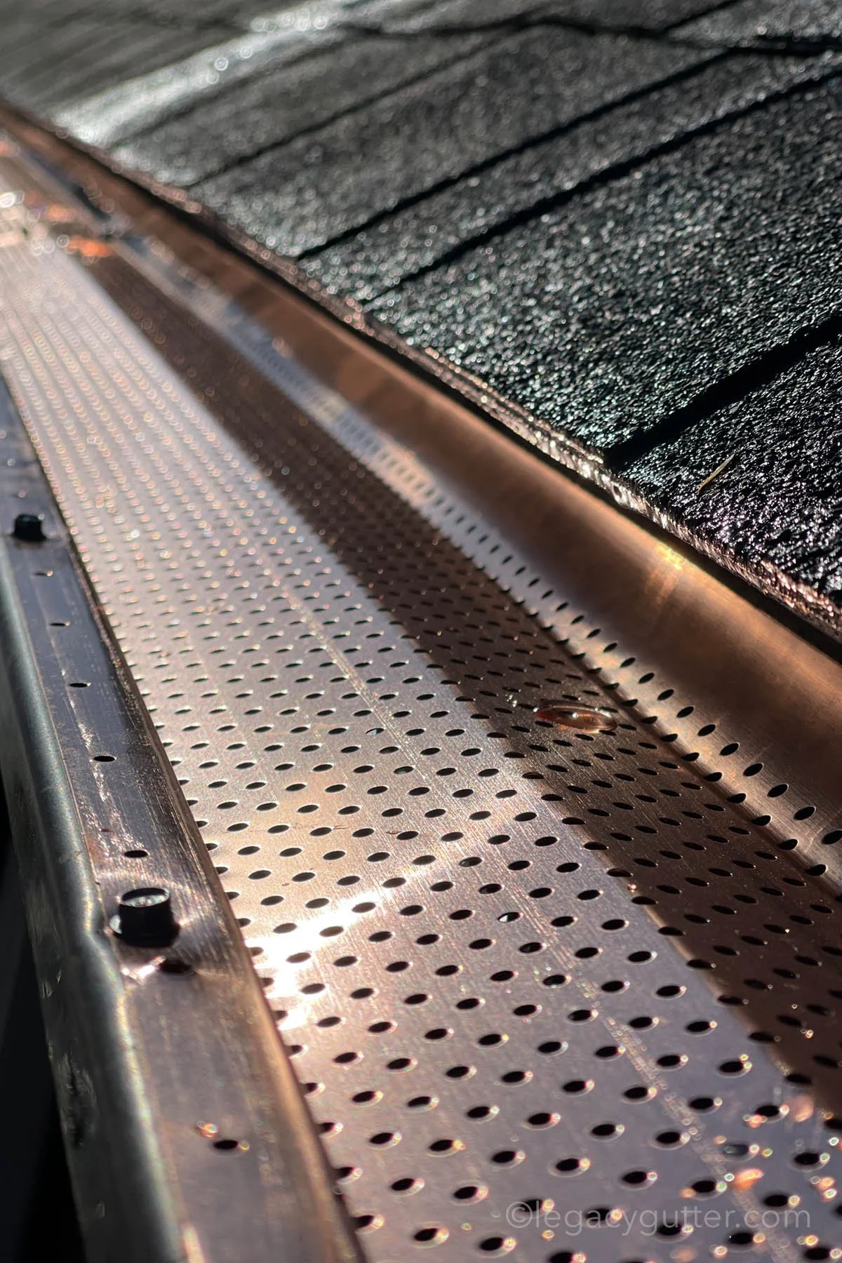 Gutter Guard Care & Maintenance: How to Keep Your System Flowing Year ...
