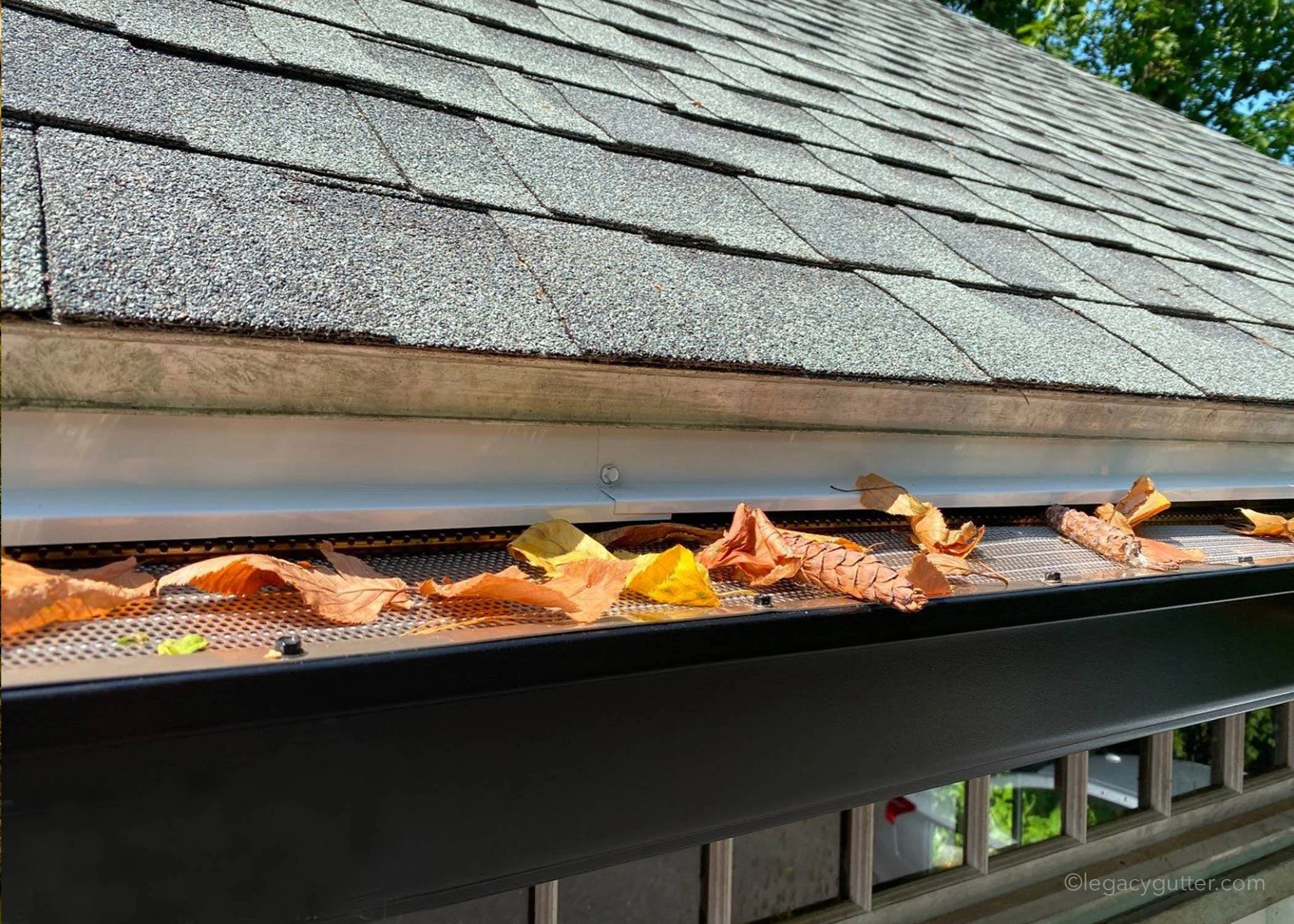 Gutter Guard Care & Maintenance: How to Keep Your System Flowing Year ...