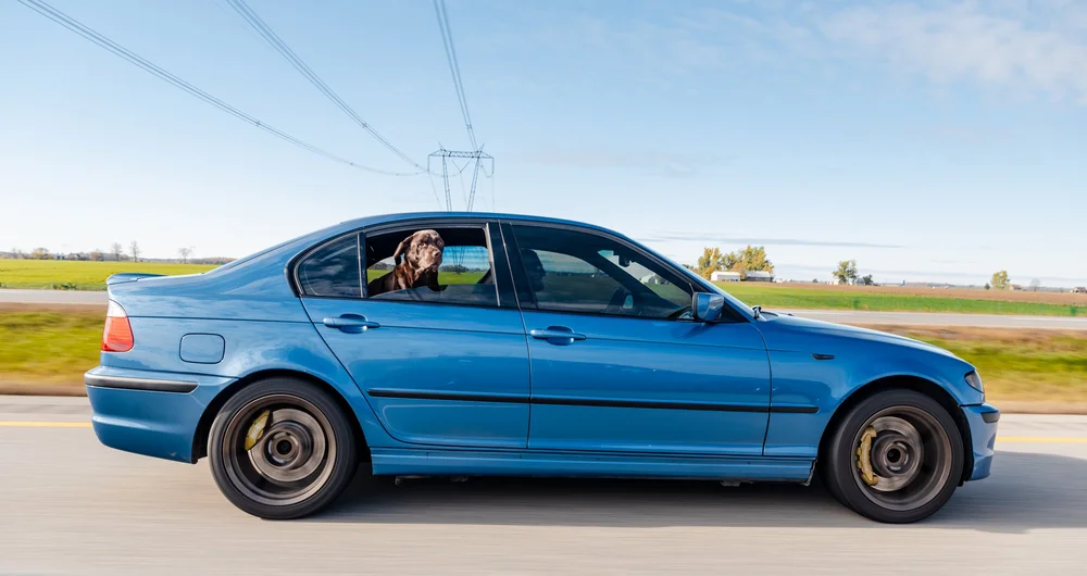 BMG PERFORMANCE | BMW Specialists