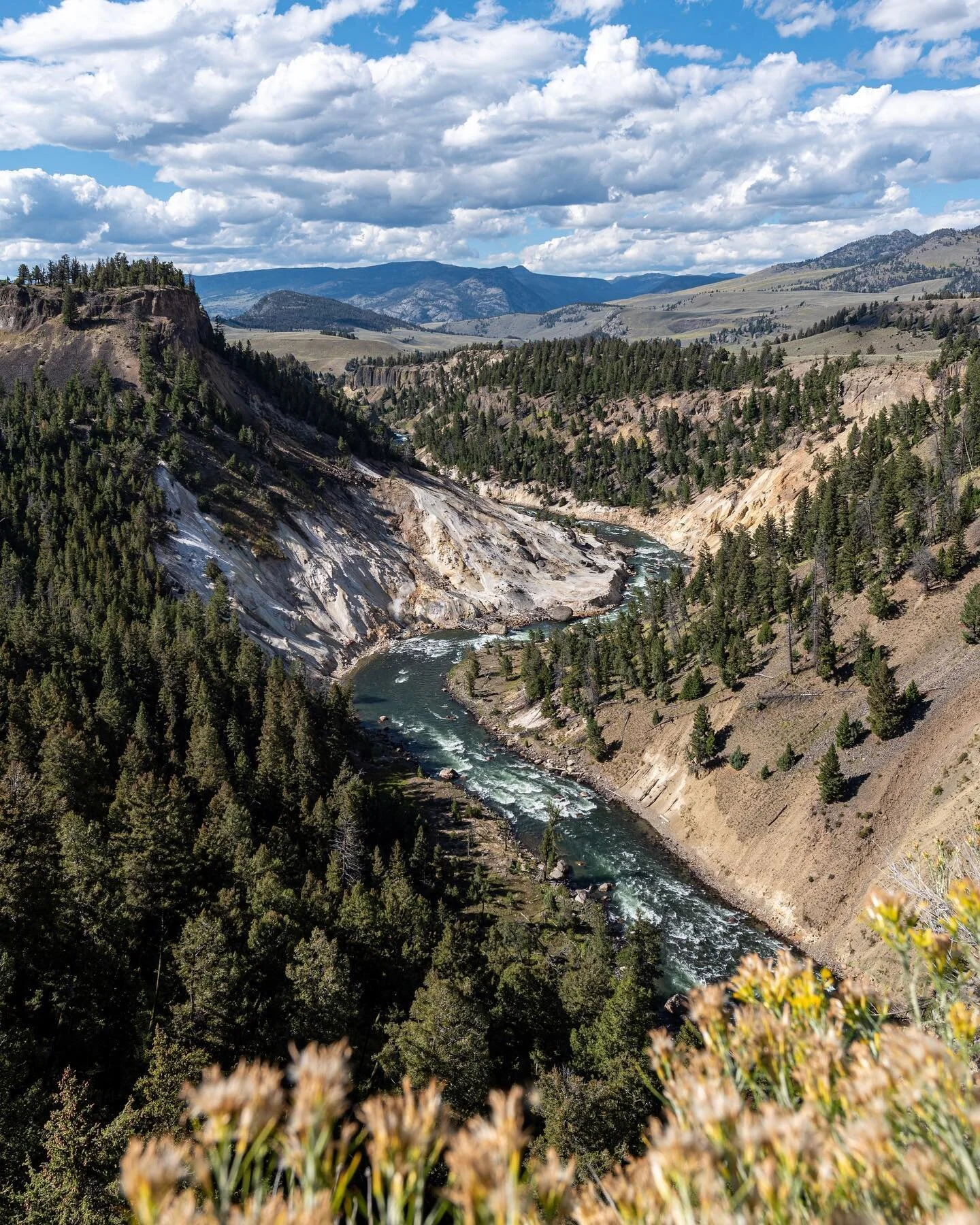 Maxwell Sierra Photography - Wedding, Engagement, Headshots, more!