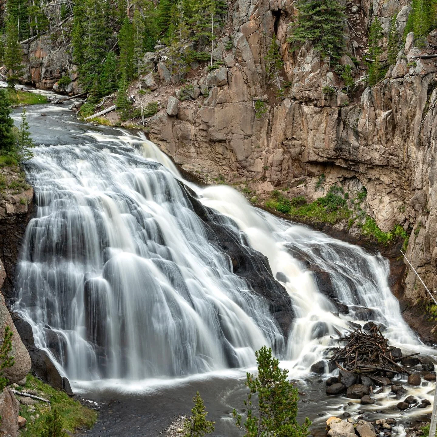 Maxwell Sierra Photography - Wedding, Engagement, Headshots, more!