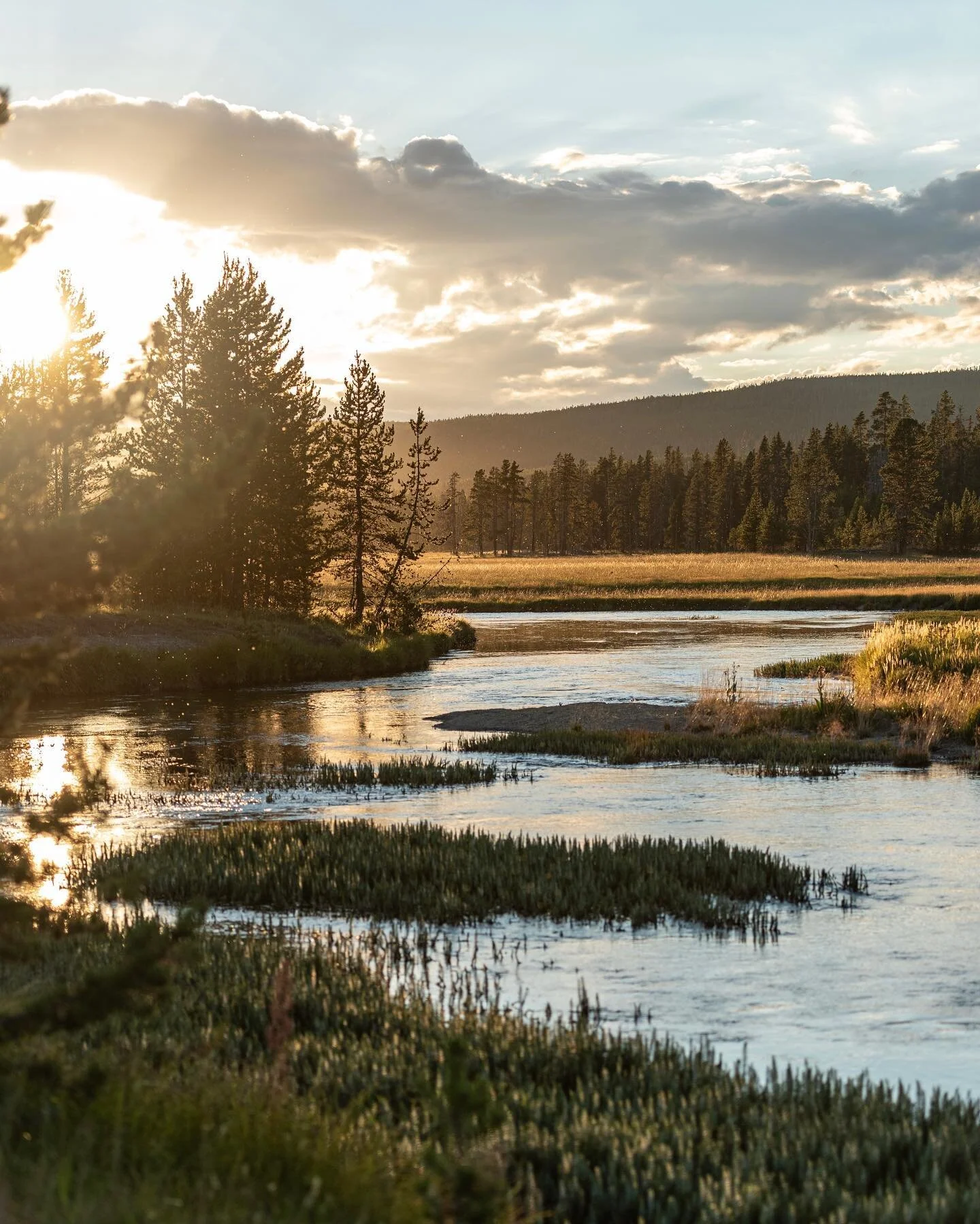 Maxwell Sierra Photography - Wedding, Engagement, Headshots, more!