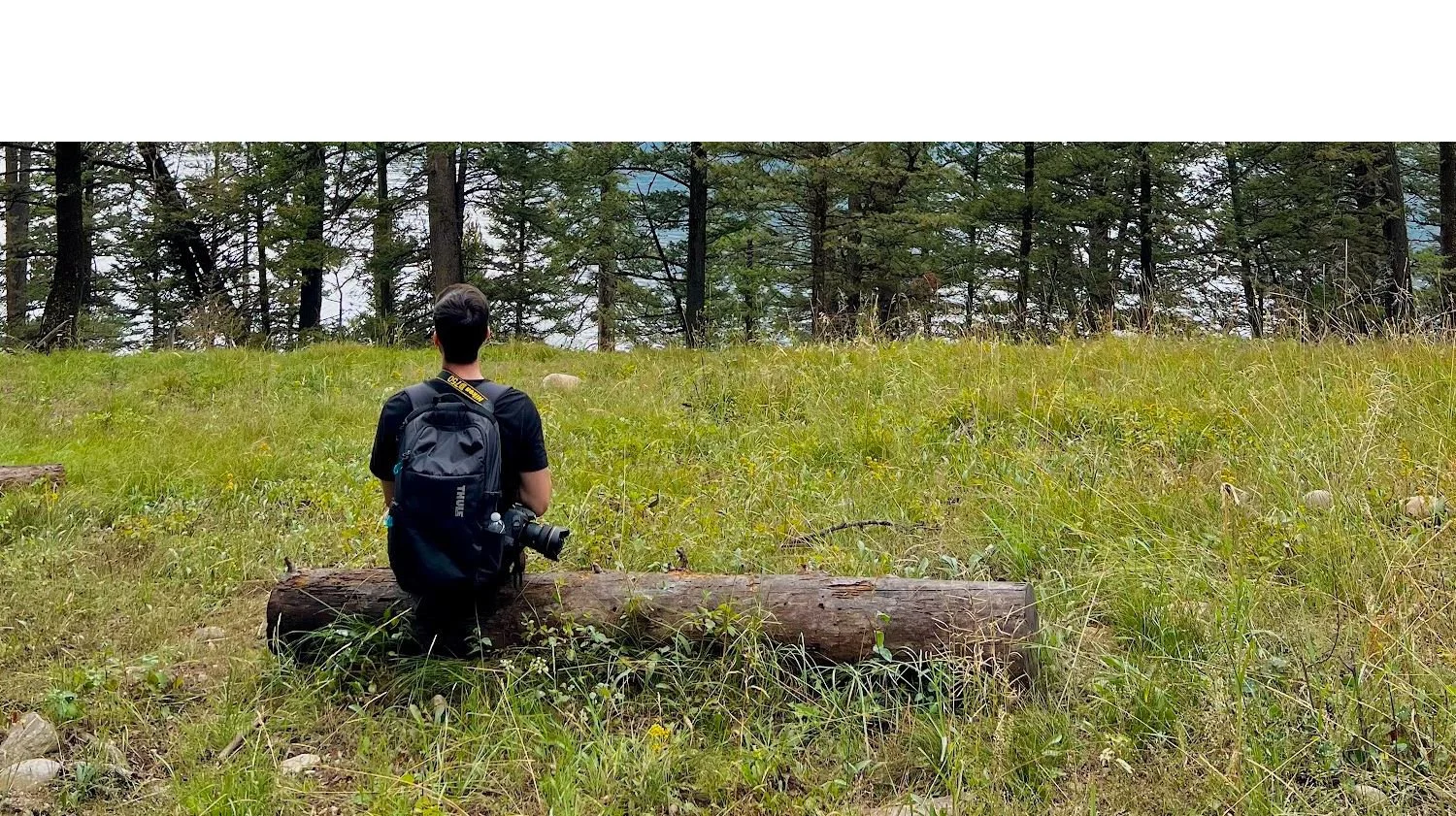 Maxwell Sierra Photography - Wedding, Engagement, Headshots, more!