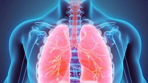 The Relationship Between Breathing Patterns and Neck Muscle ...