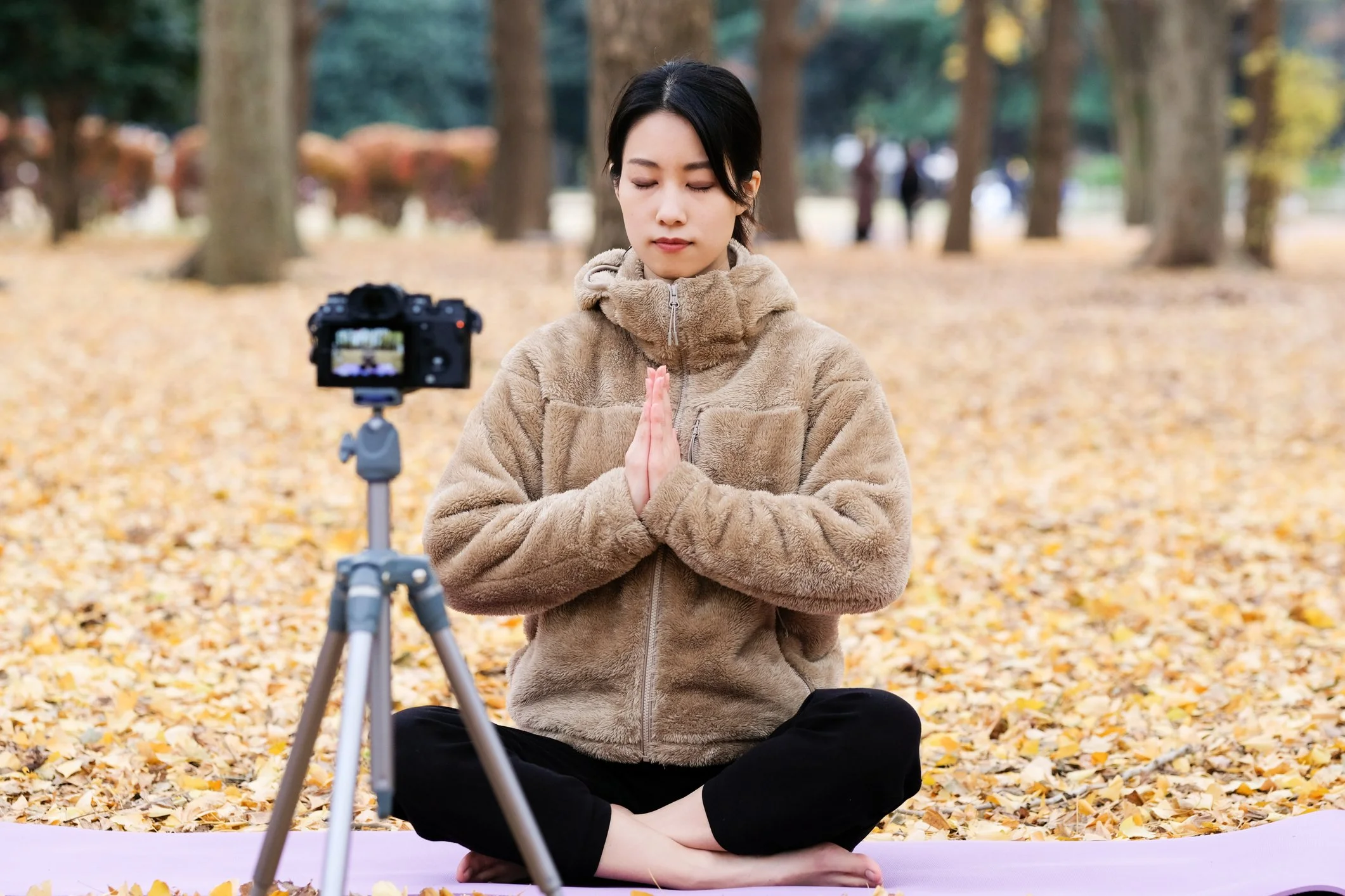 About Brandy Berlin — brandy berlin