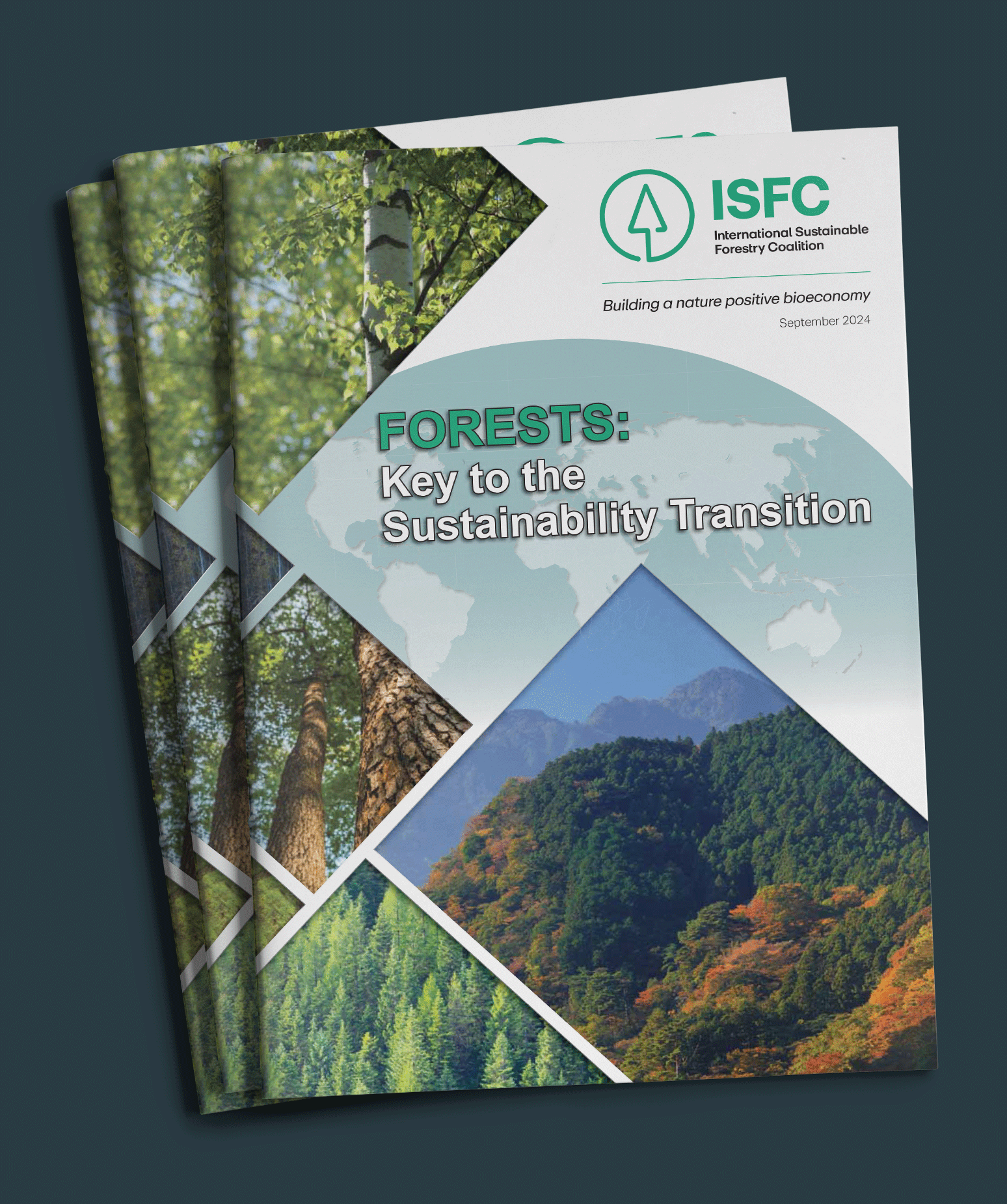 Media Releases and Publications — International Sustainable Forestry Coalition
