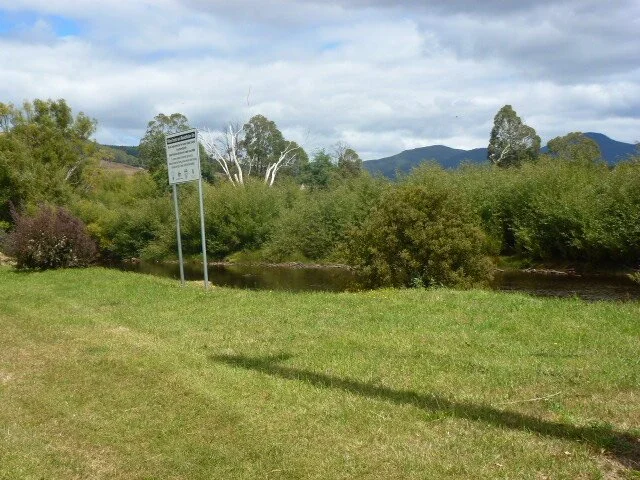 River Leven Willow Removal Project Stage 2 — Anglers Alliance Tasmania