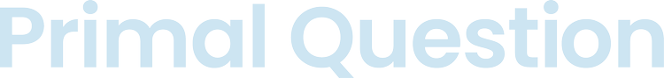 Primal Question Book by Mike Foster — Seven Primal Questions