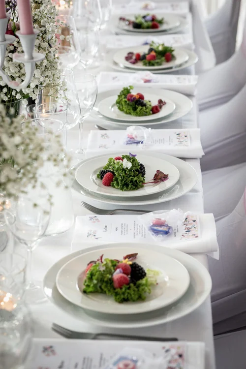 10 Essential Elements of the Perfect Destination Wedding Resort for 30 ...
