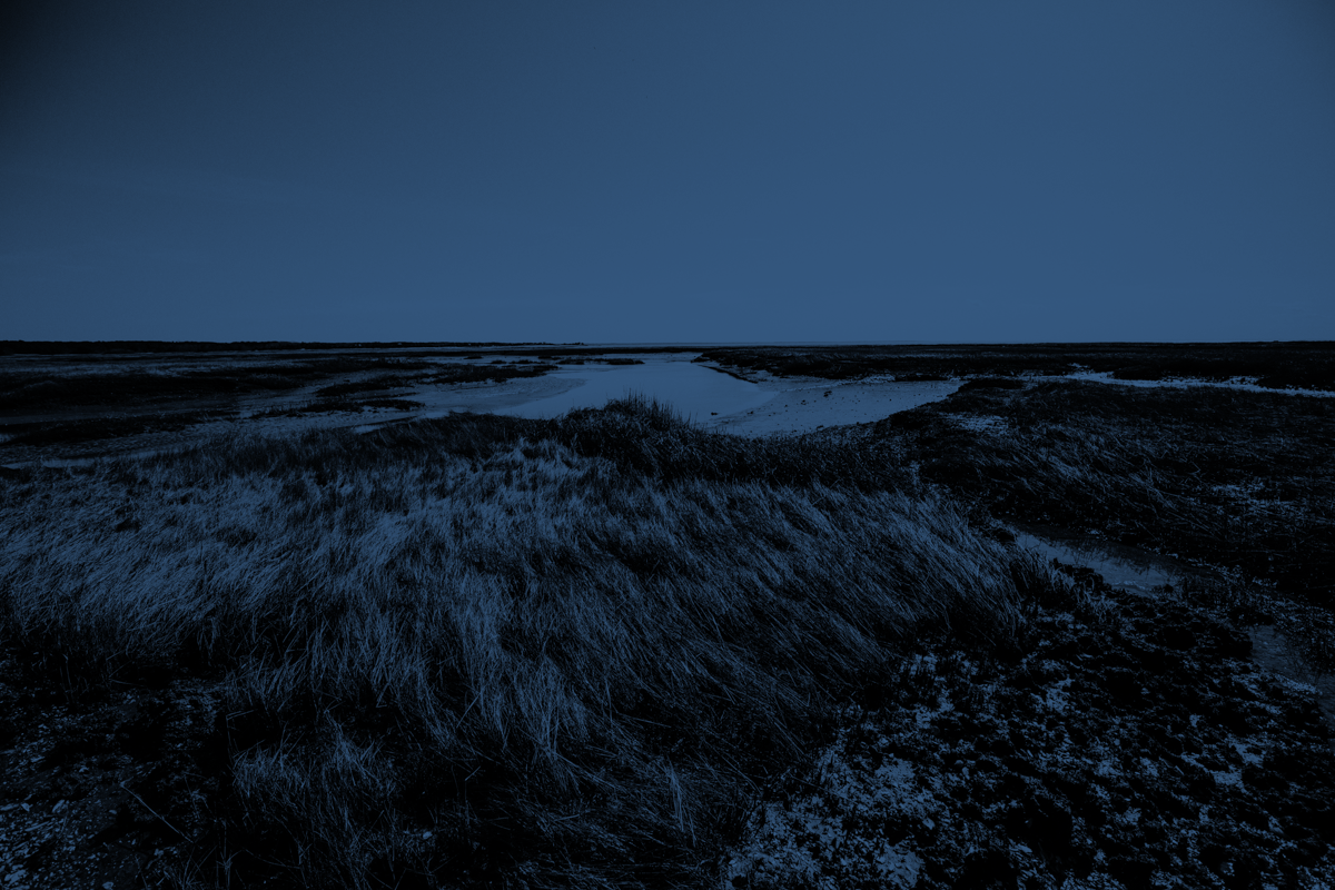 Wellfleet OysterFest — Wellfleet Oyster Alliance