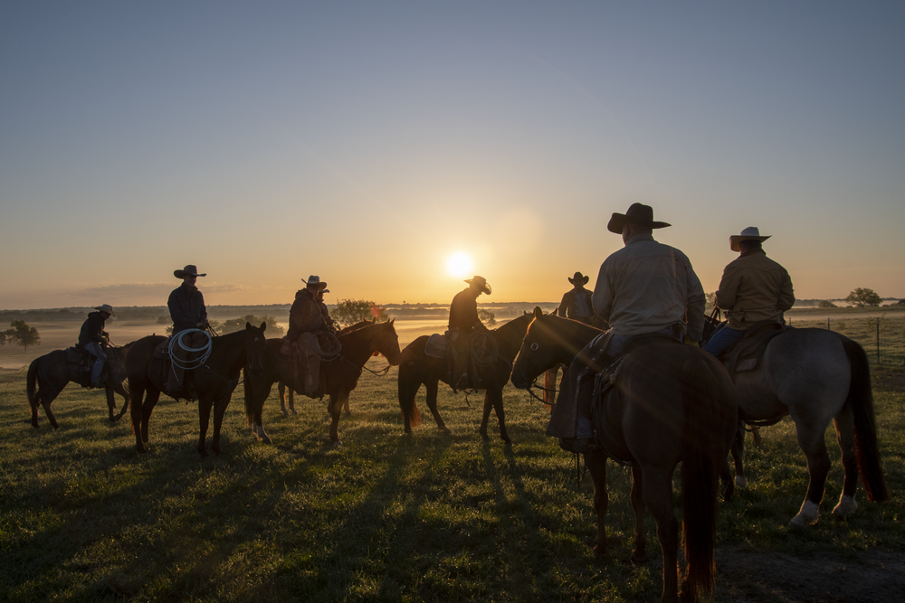 Our Story — JB RANCH AKAUSHI