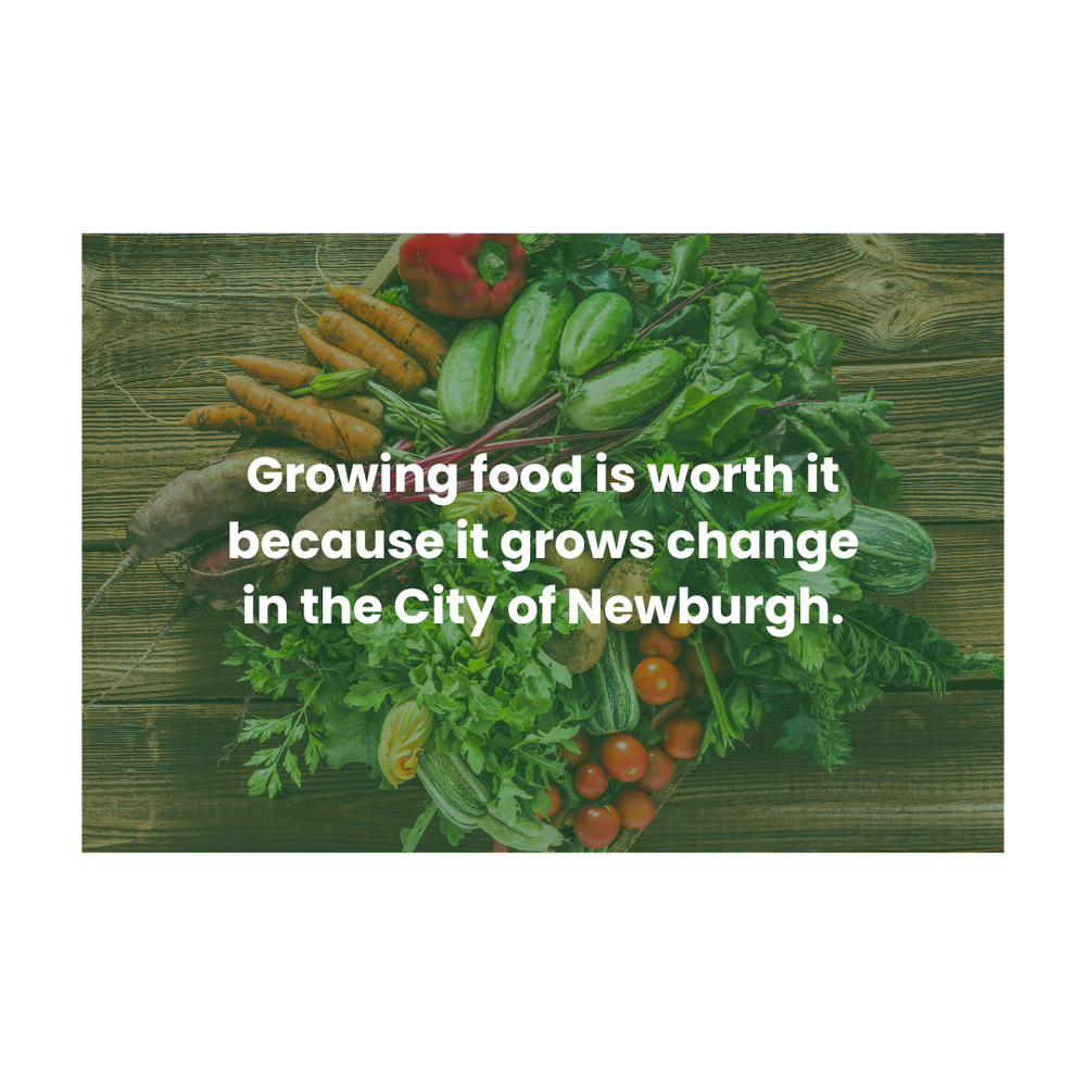 Newburgh Urban Farm and Food Initiative