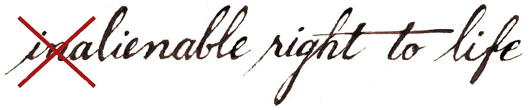 Alienable Right to Life: An art installation by Suzanne Brennan ...