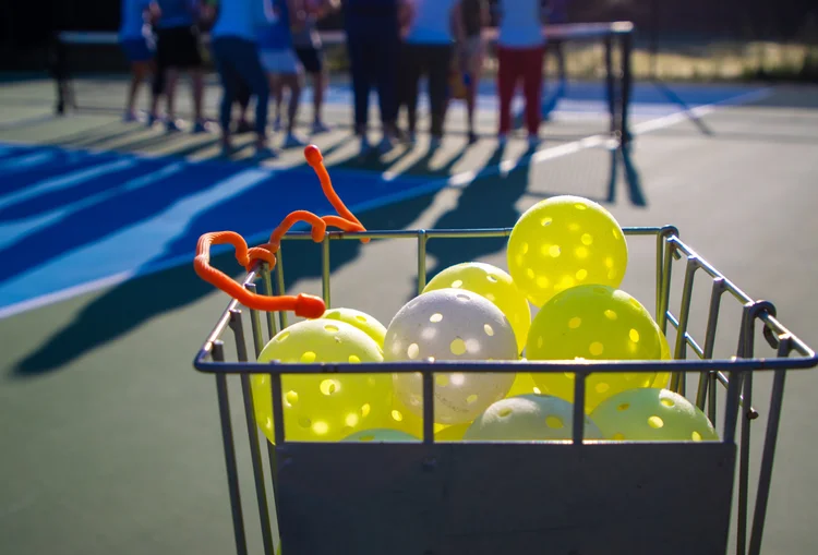 The Pickleball Space