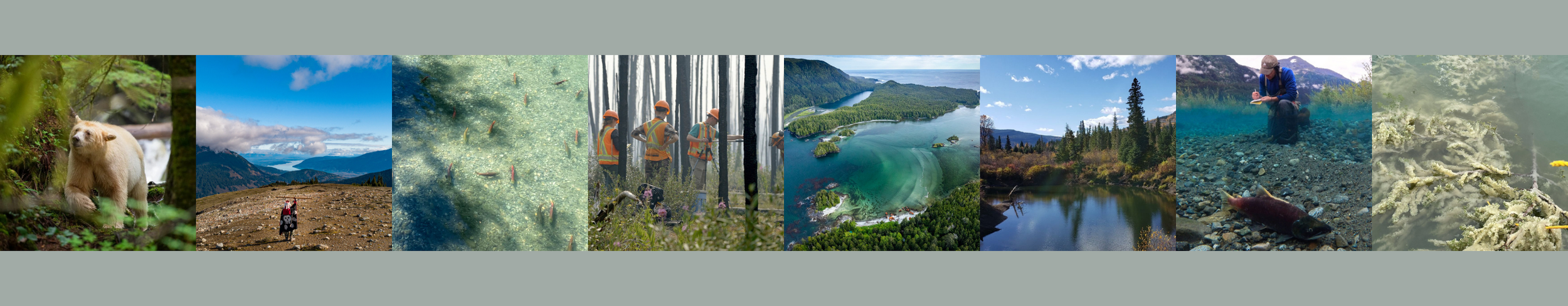 Community Films to Watch — Indigenous Watersheds Initiative
