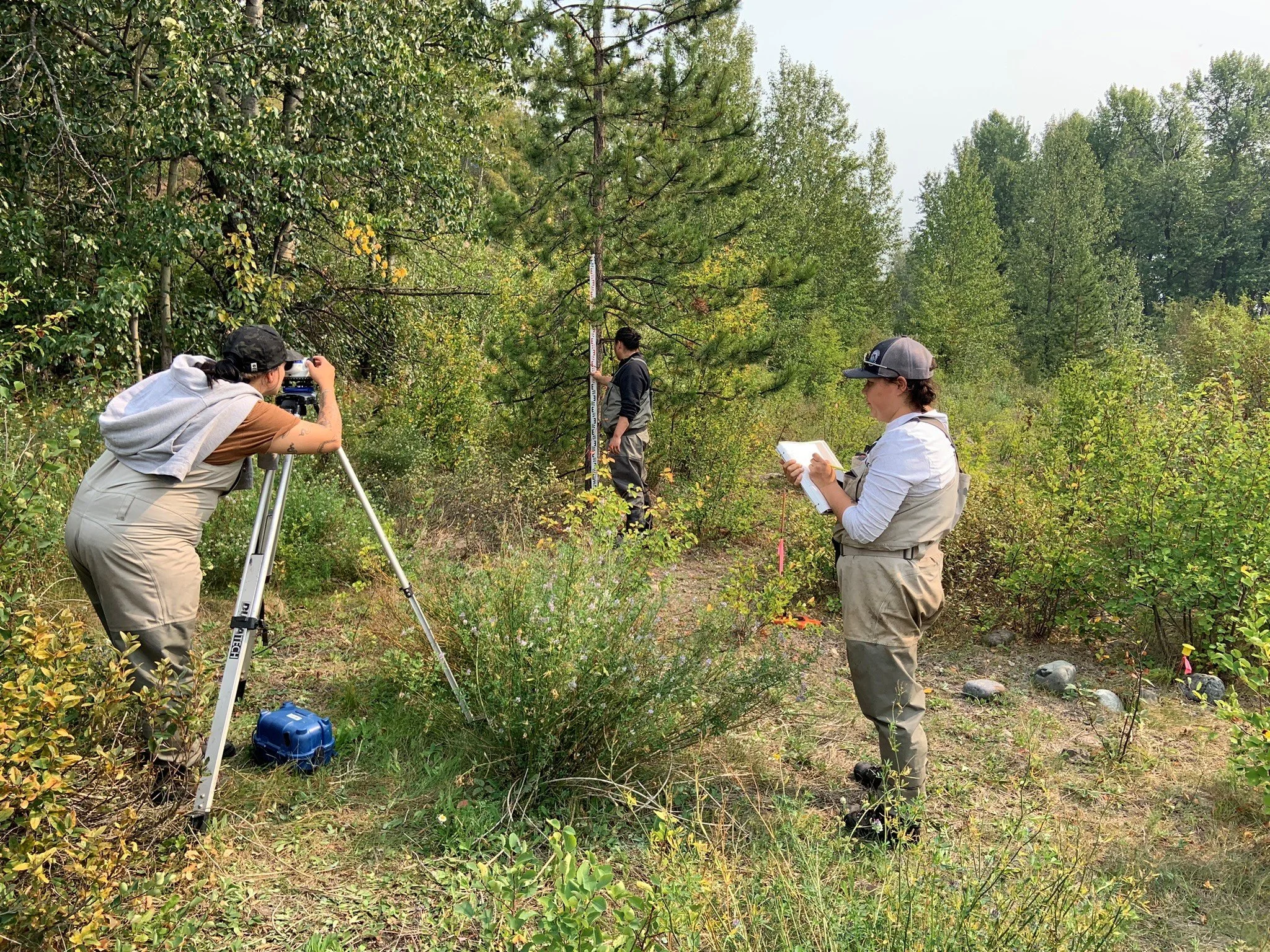 Indigenous-led Endako Weir Effectiveness Monitoring Program ...