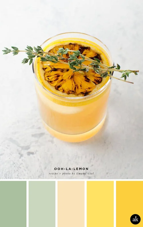 a lemon-cocktail-inspired color palette — AKULA | artful identities for ...