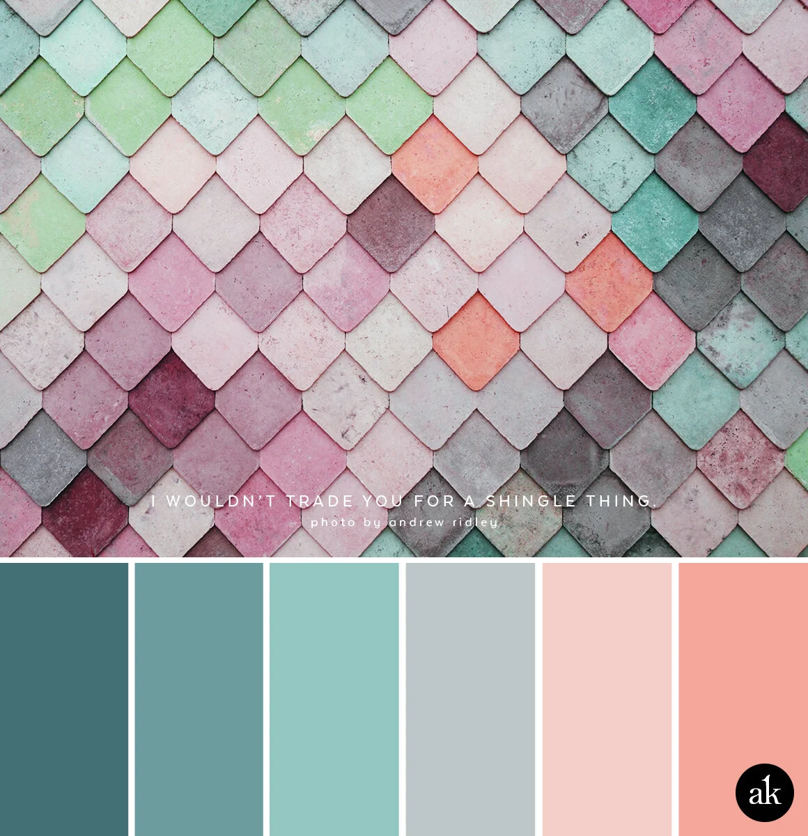 a rainbow-wall-inspired color palette — AKULA | story-driven brands and ...