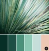 an agave-inspired color palette — AKULA | artful identities for the ...