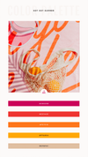 a bright, beachy color palette — AKULA | artful identities for the ...