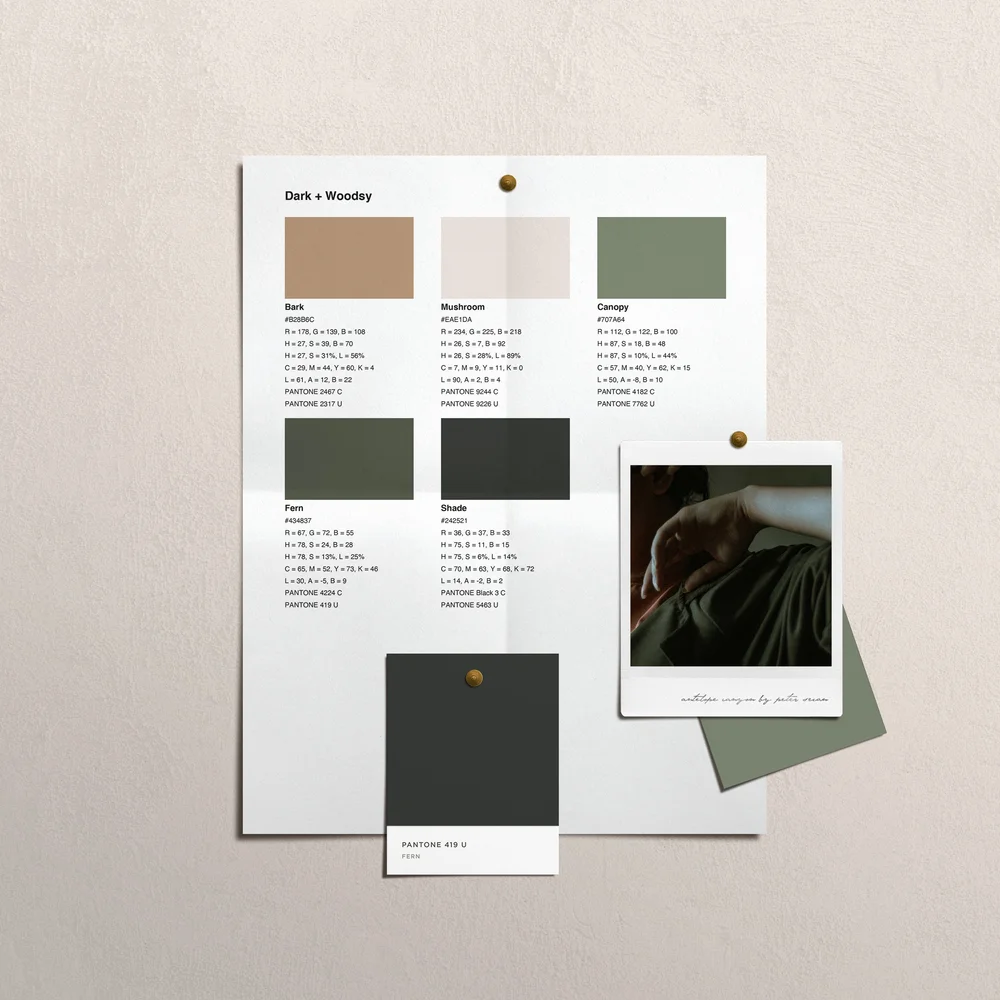 an editorial-inspired, moody green color palette | Akula Kreative