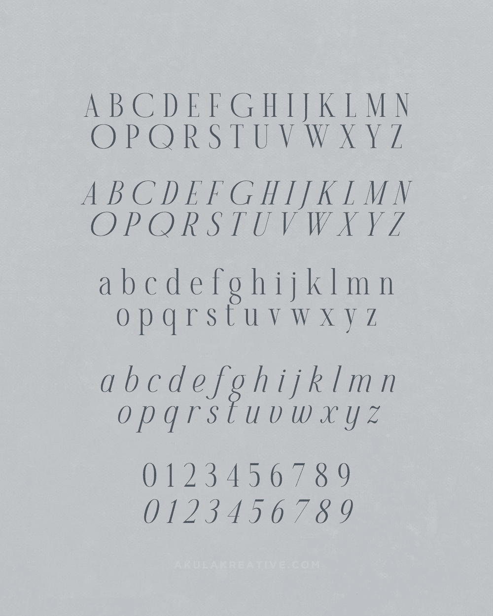 Fifty Fifty :: a Modern, Editorial Serif font | Akula Kreative