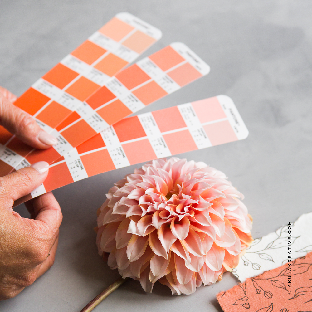 How to Choose Colors for Your Brand | Akula Kreative