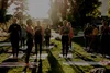 Oak Tree Counseling & Wellness
