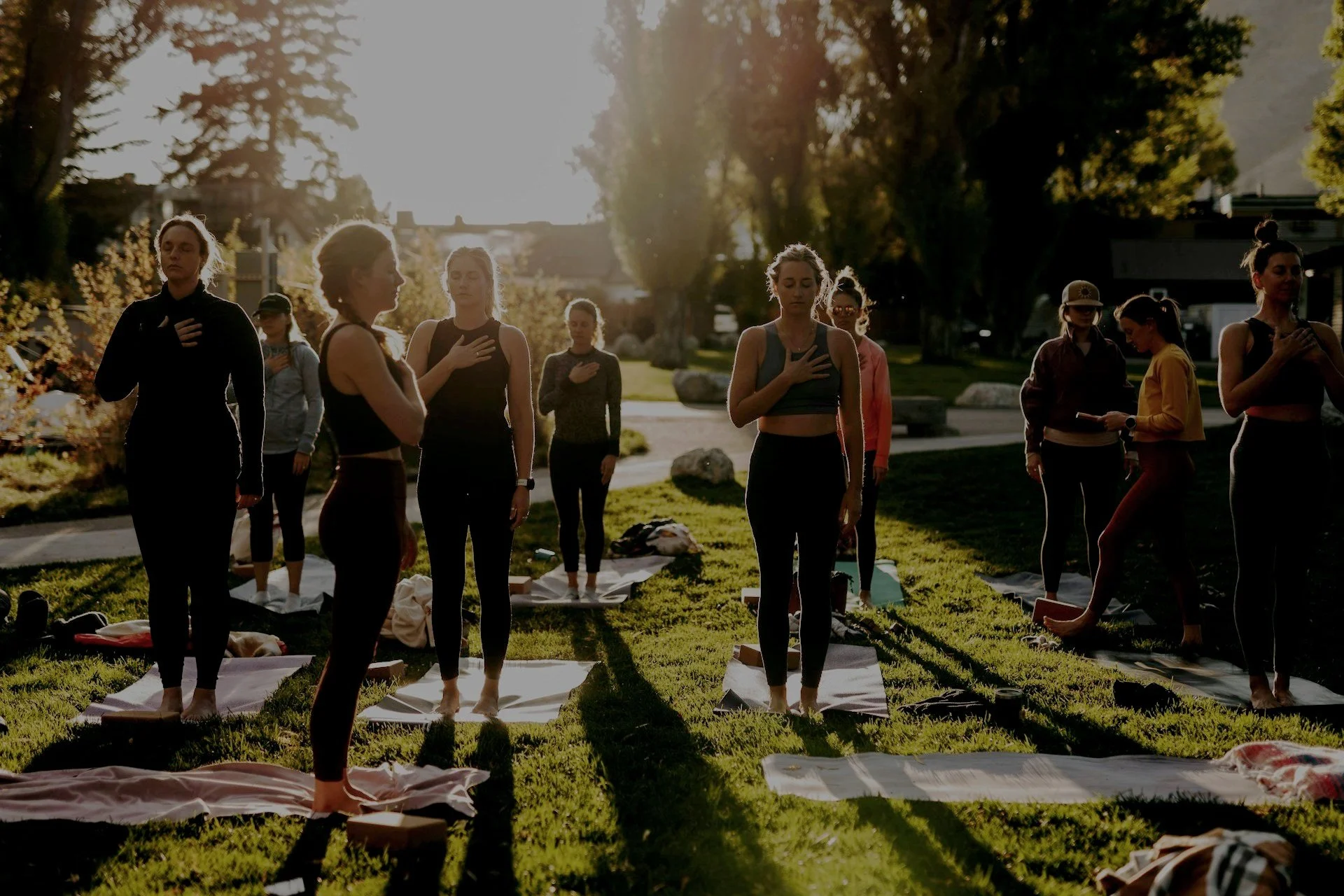 Oak Tree Counseling & Wellness