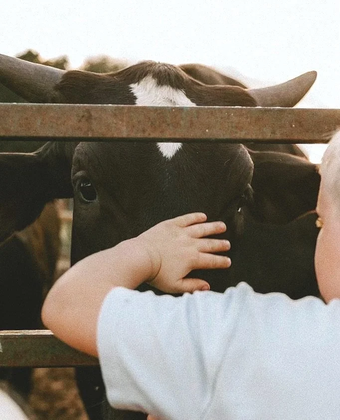 Local Beef & More | Carson Family Beef | Hesperia, MI