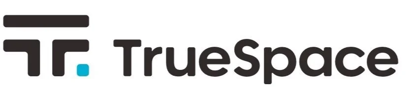 Lesson 1: Business Basics — TrueSpace