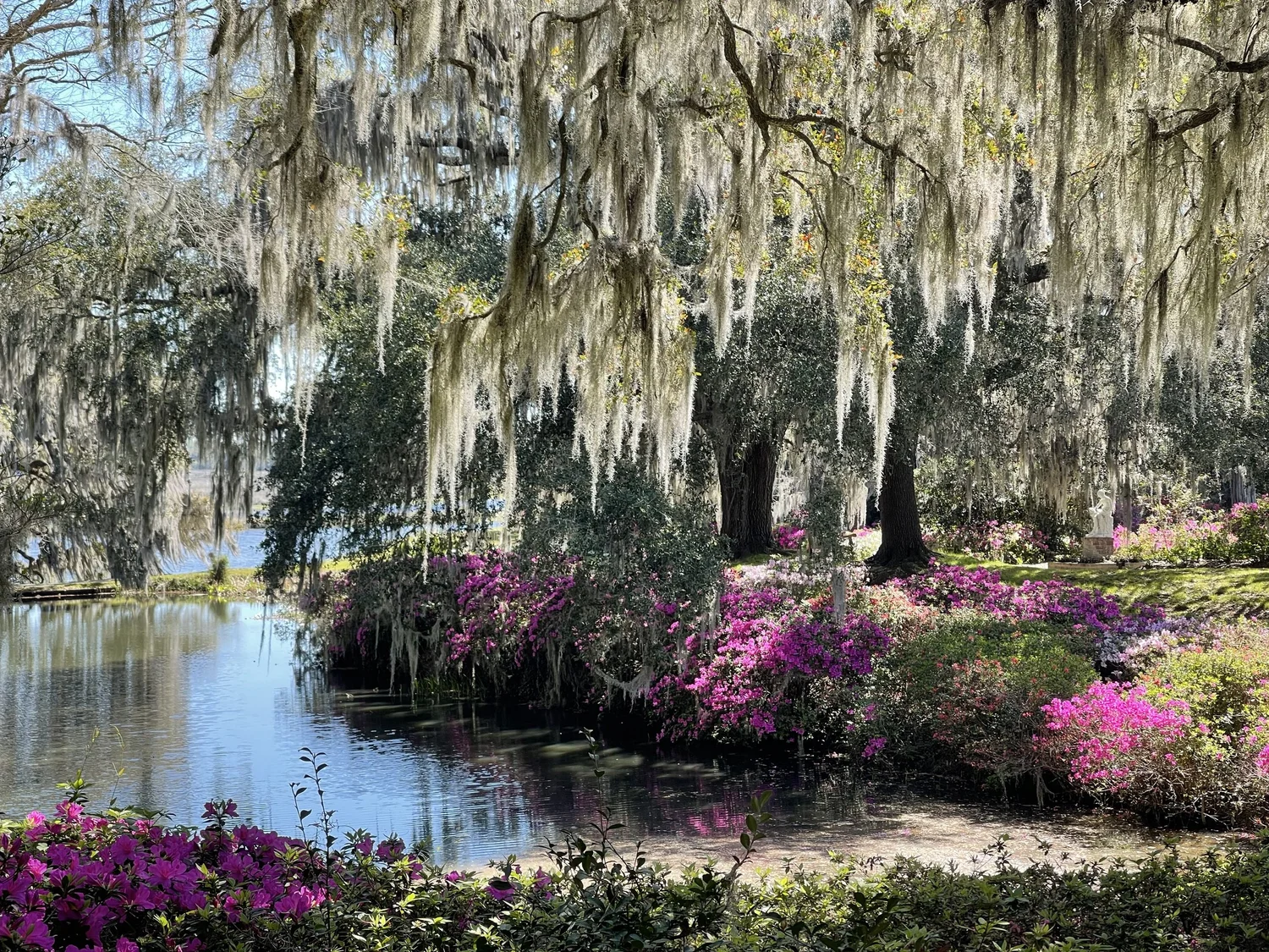 CHARLESTON HISTORY TOURS | Discover Charleston — Book Your Tour Now