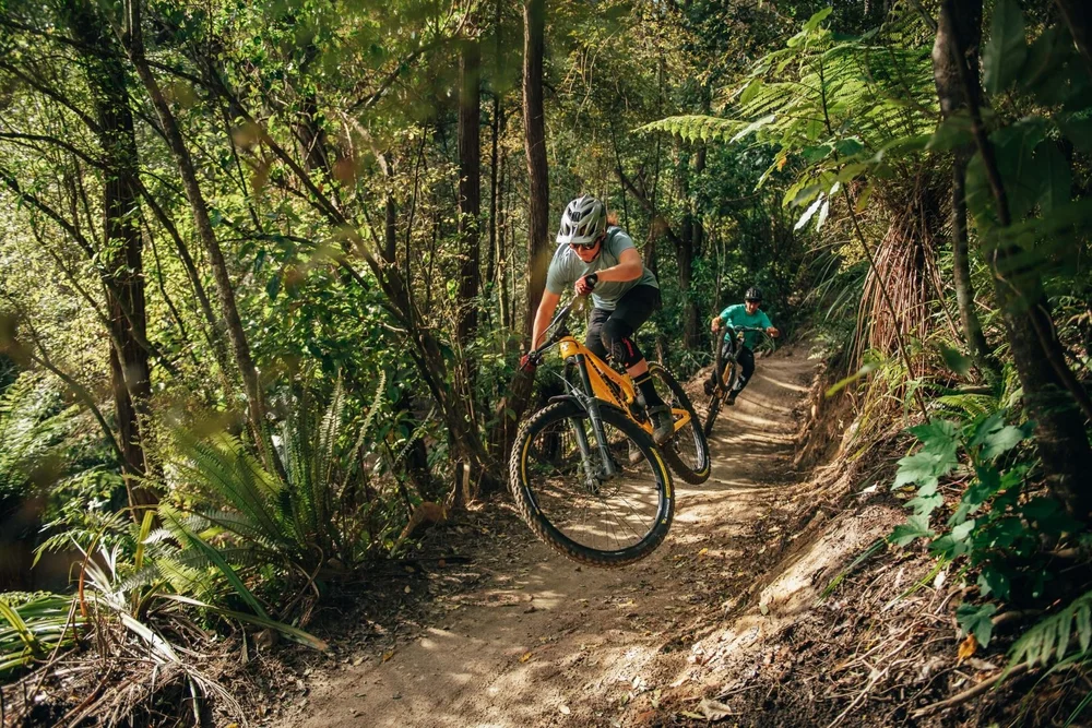 Dunedin Tracks & Trails