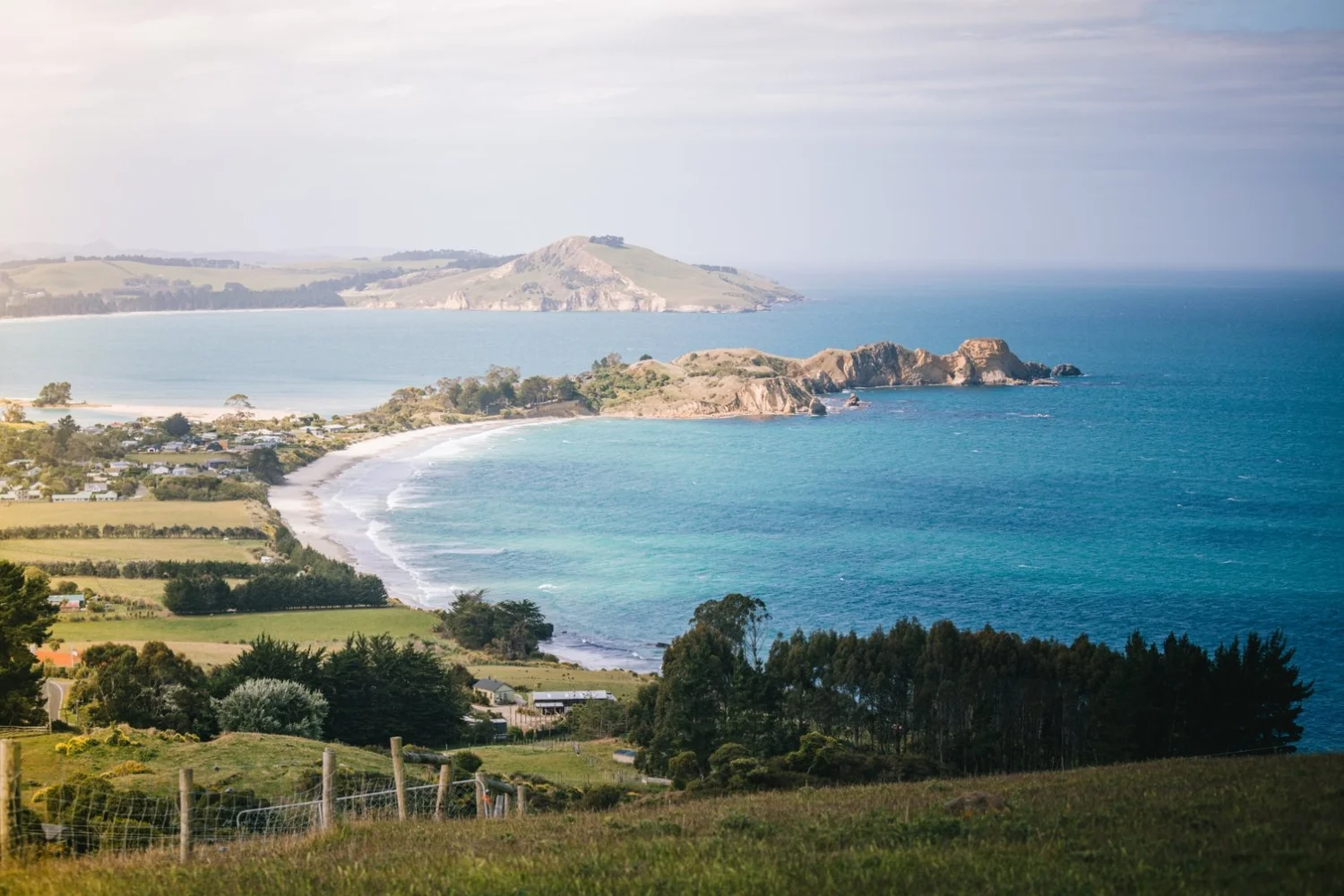 Dunedin Tracks & Trails