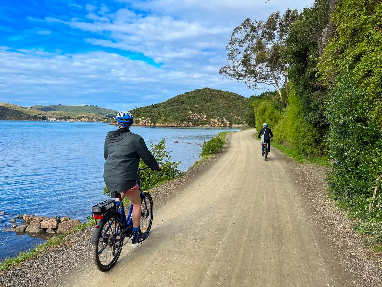 About — Dunedin Tracks & Trails